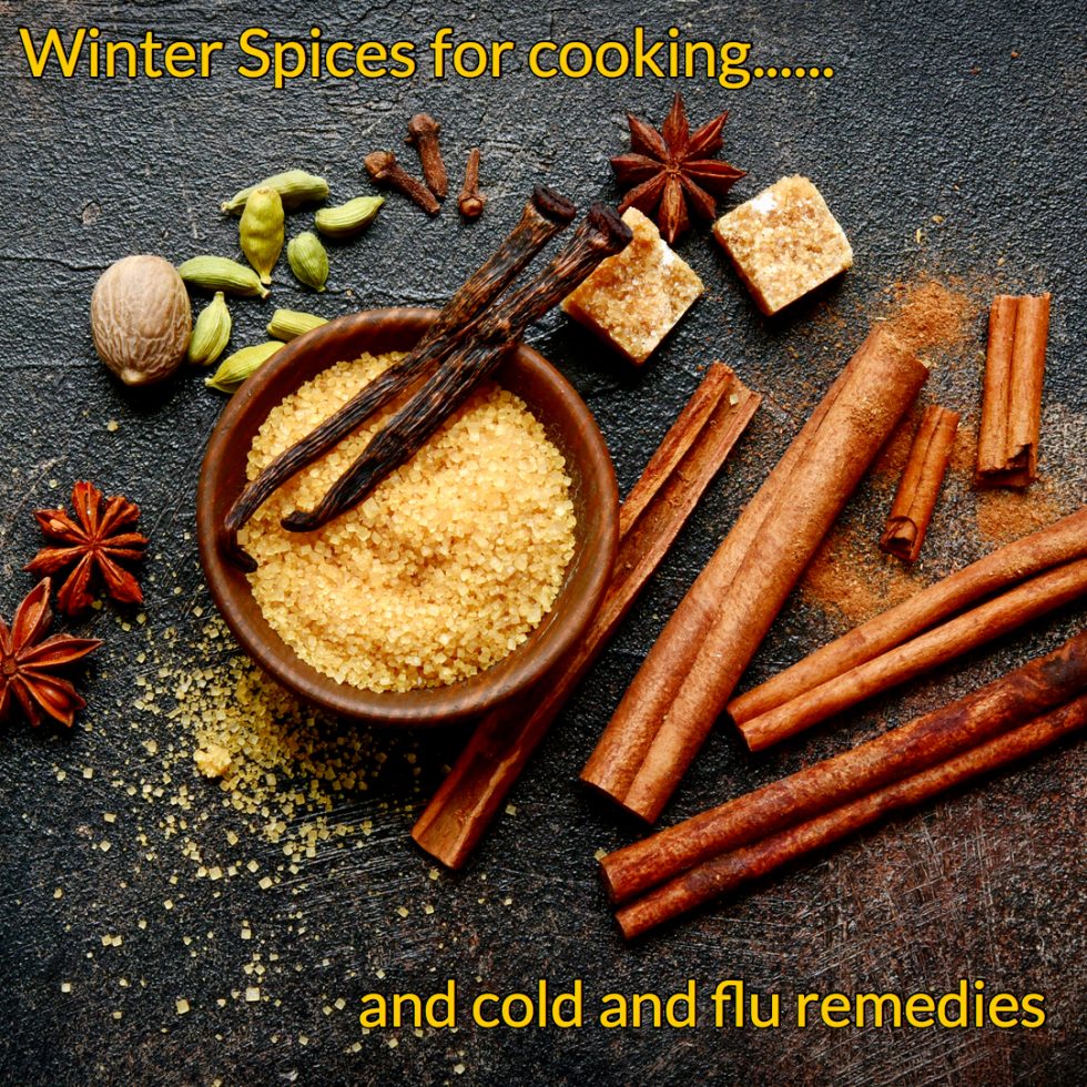 Winter Spices for Cooking and Remedies | Lotus Health and Fitness